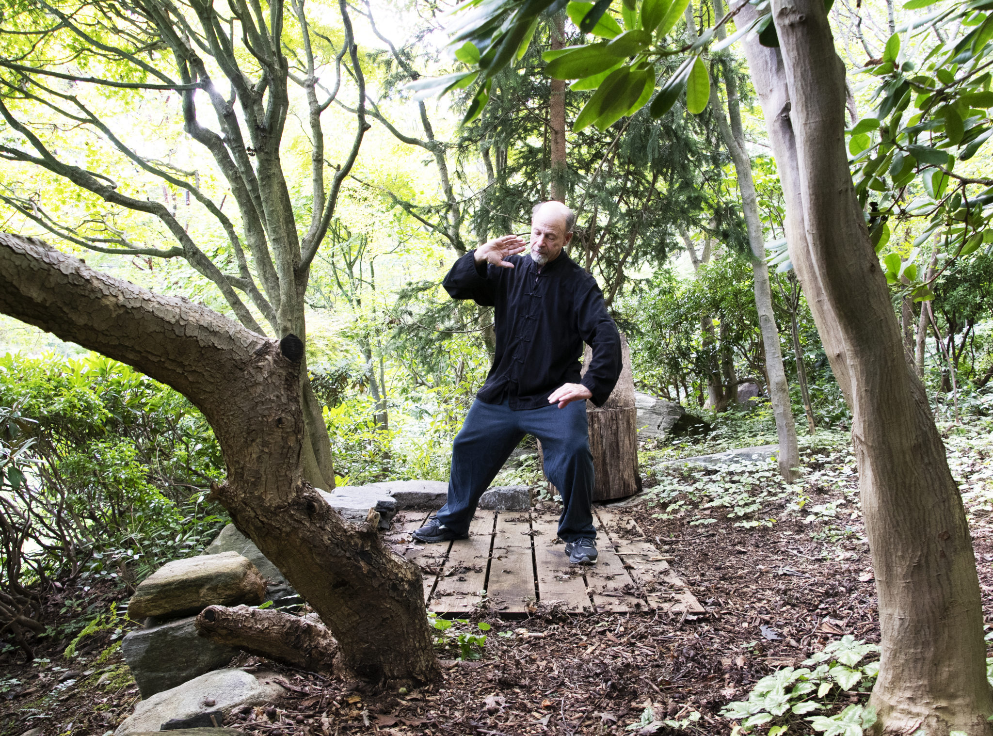 Internal Versus External Motion - Chi Force