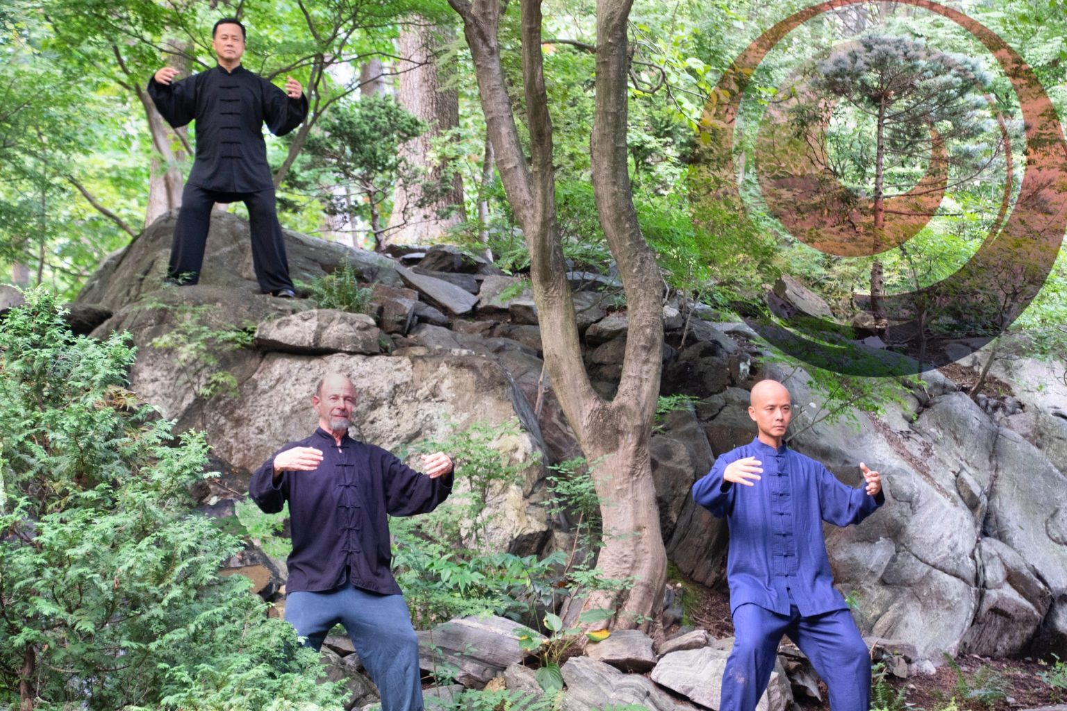 10-Step Tai Chi Routine for Stress Relief - Chi Force