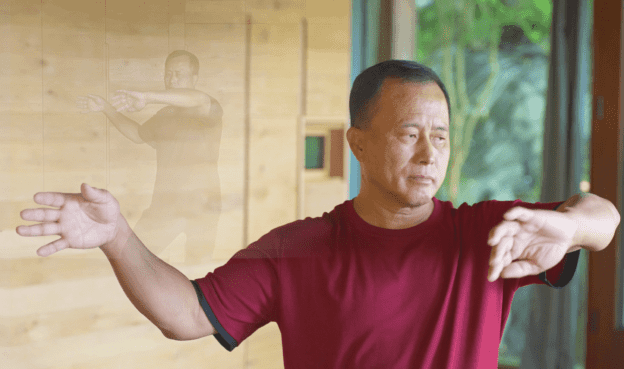 Tai Chi and Qigong - Chi Force