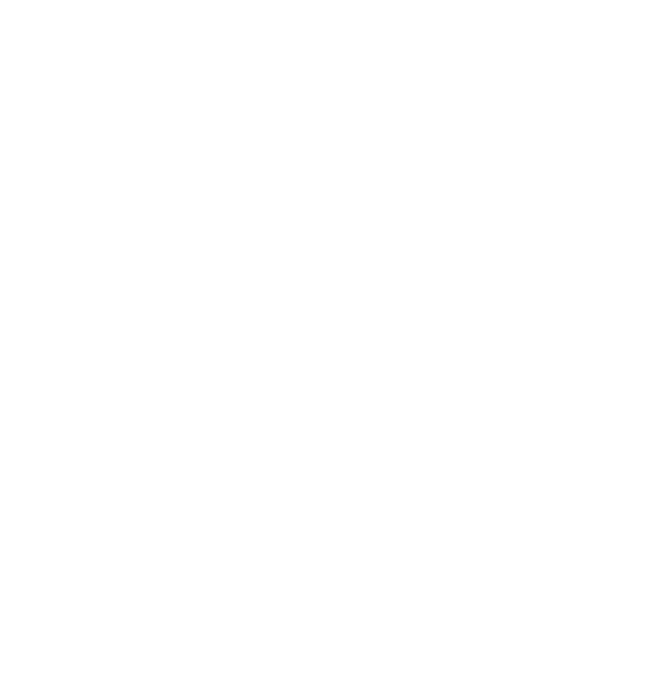 Homepage - Chi Force