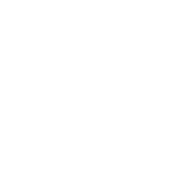 Homepage - Chi Force