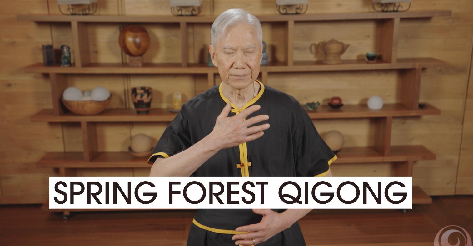 Spring Forest Qigong - Chi Force